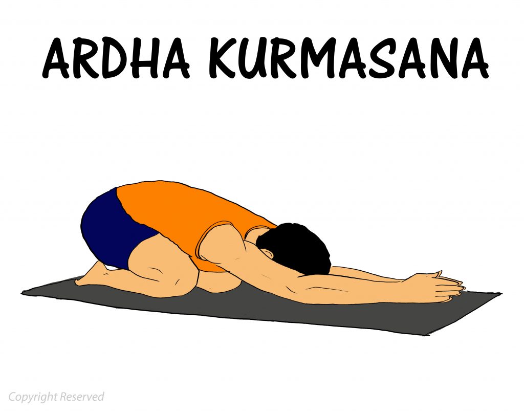 preparatory poses associated with ardha kurmasana | 101yogasan