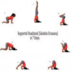 Sirsasana, Steps, Benefits, Precautions, Contraindications